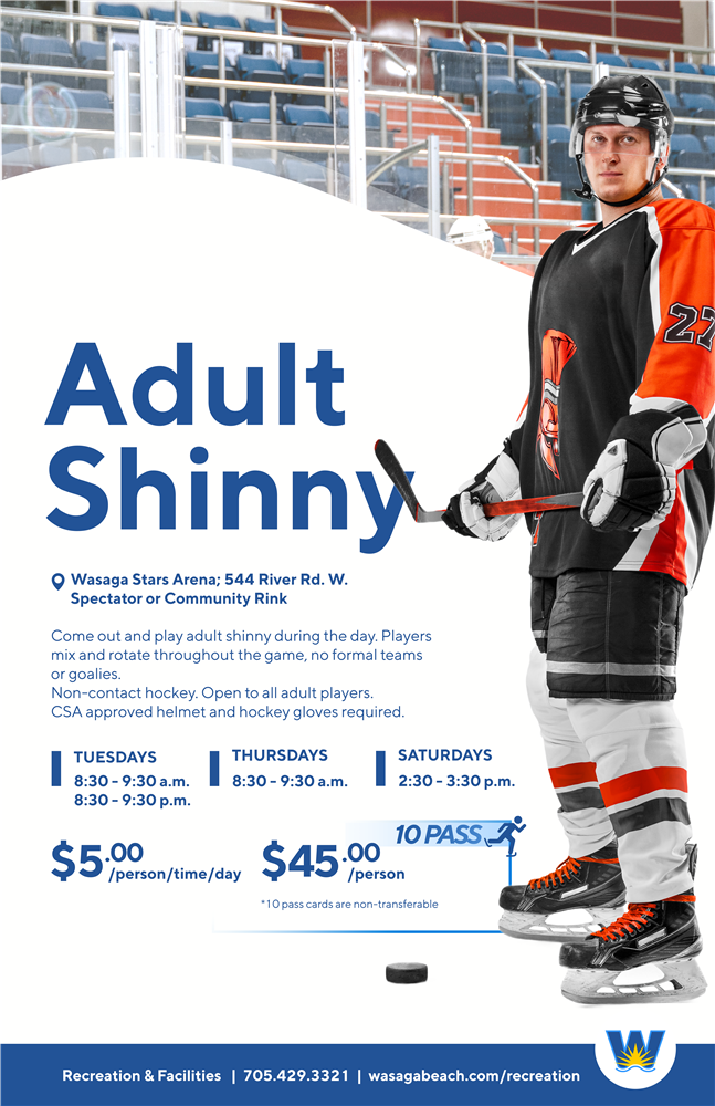 Adult Shinny